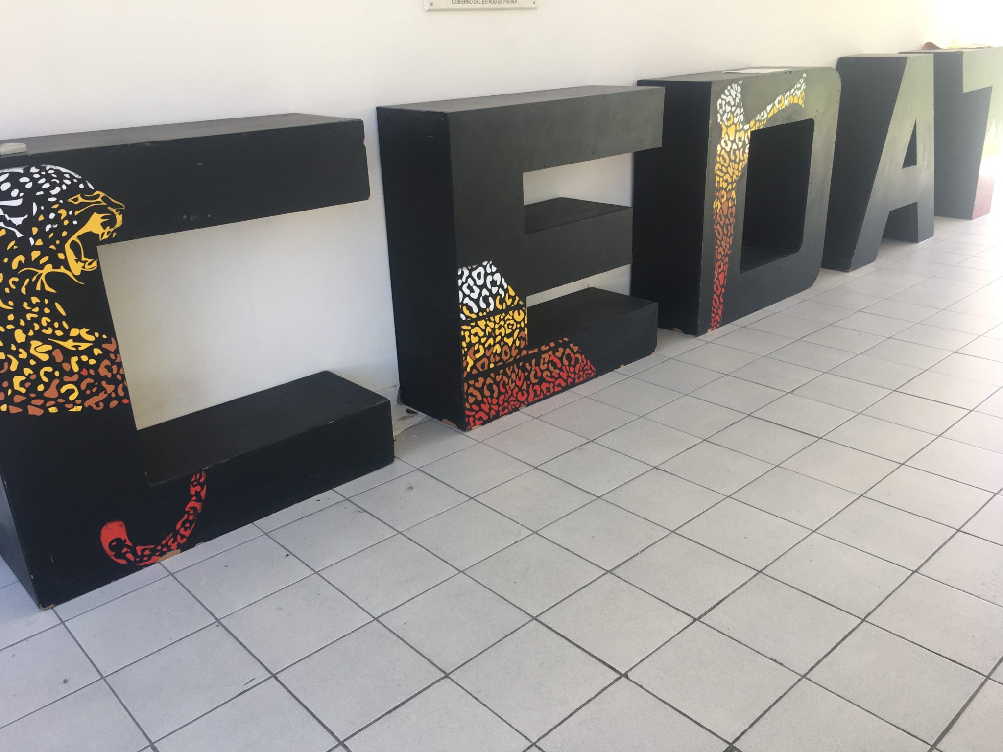 CEDAT – Sitio del Centro Escolar Dr. Alfredo Toxqui Fernández de Lara